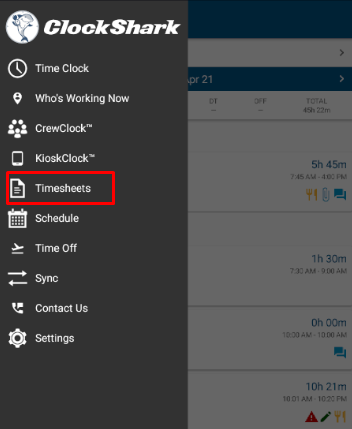 Reviewing and Editing Timesheets